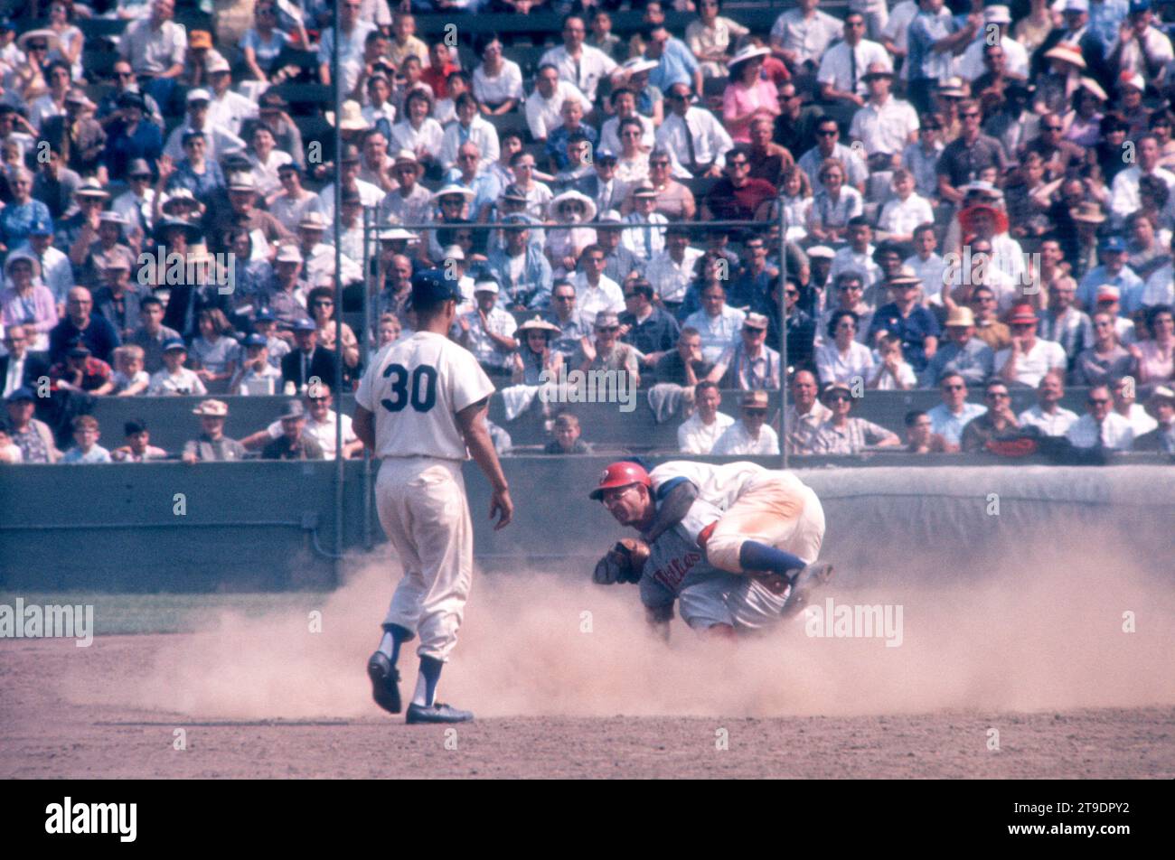 LOS ANGELES, CA - JUNE 11: Jim Gilliam #19 of the Los Angeles Dodgers ...
