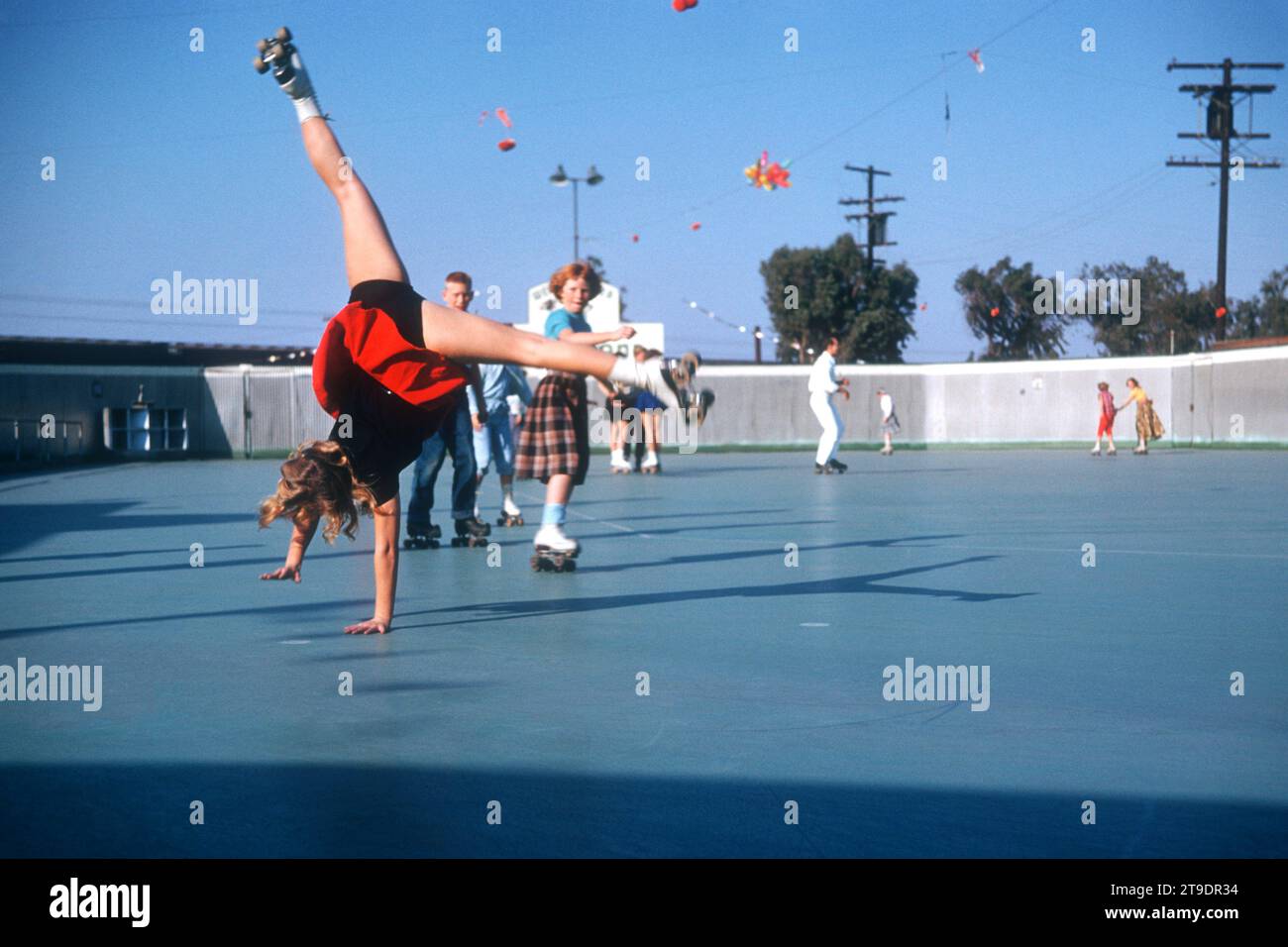 WESTCHESTER, NY - NOVEMBER, 1954: General view of Gloria doing a hand ...