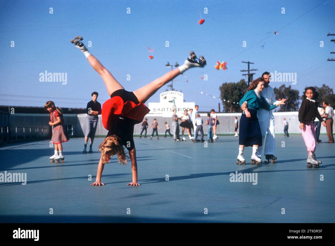 WESTCHESTER, NY - NOVEMBER, 1954: General view of Gloria doing a hand ...