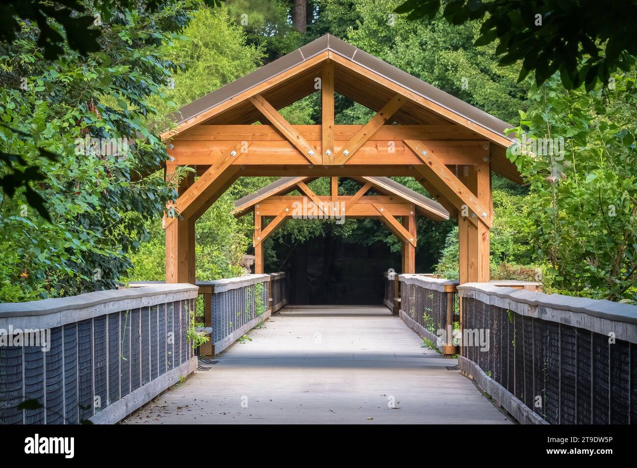 A beautiful footbridge over the lush wetland area at Historic Yates ...