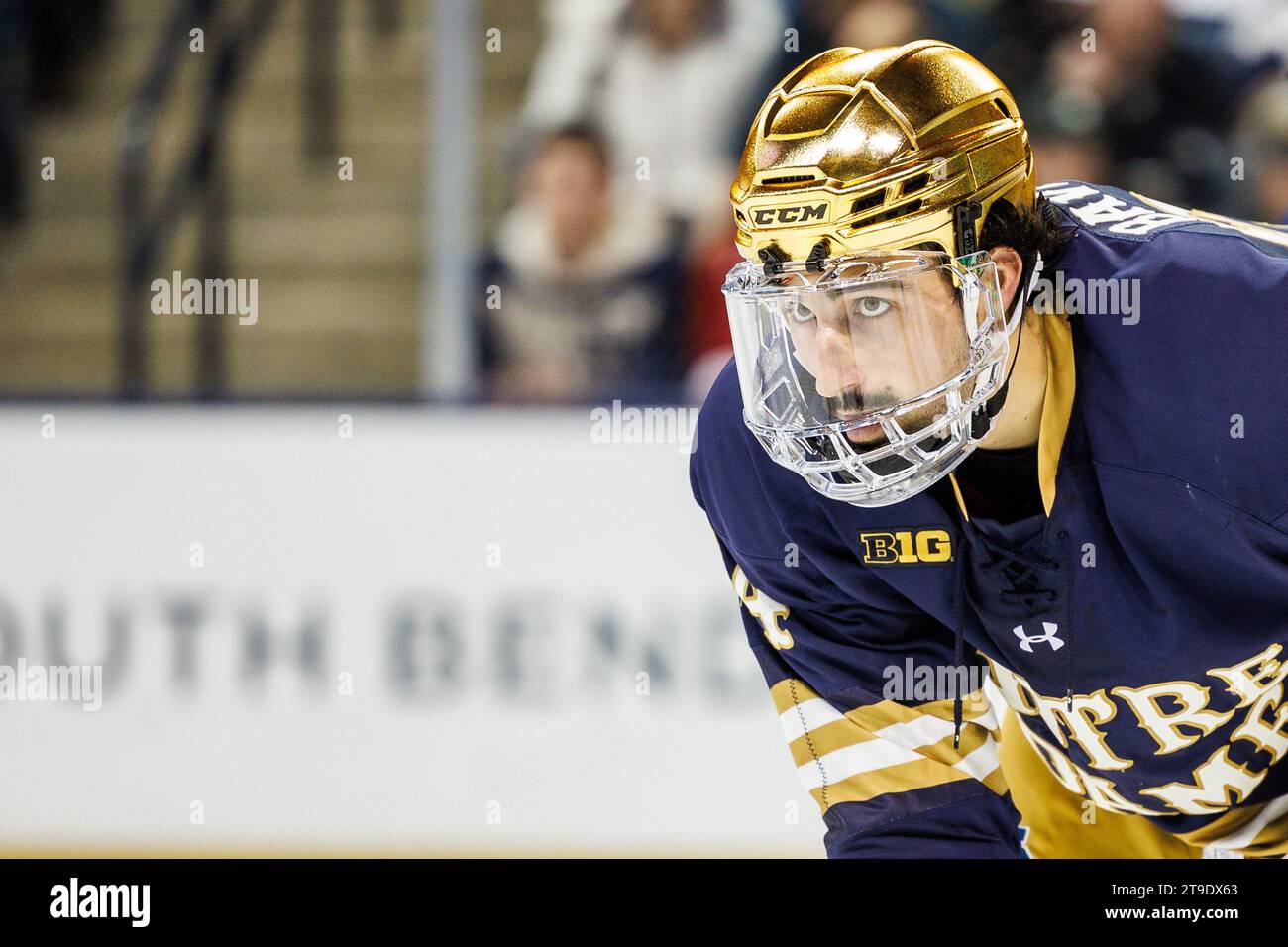 John bavaro hi-res stock photography and images - Alamy