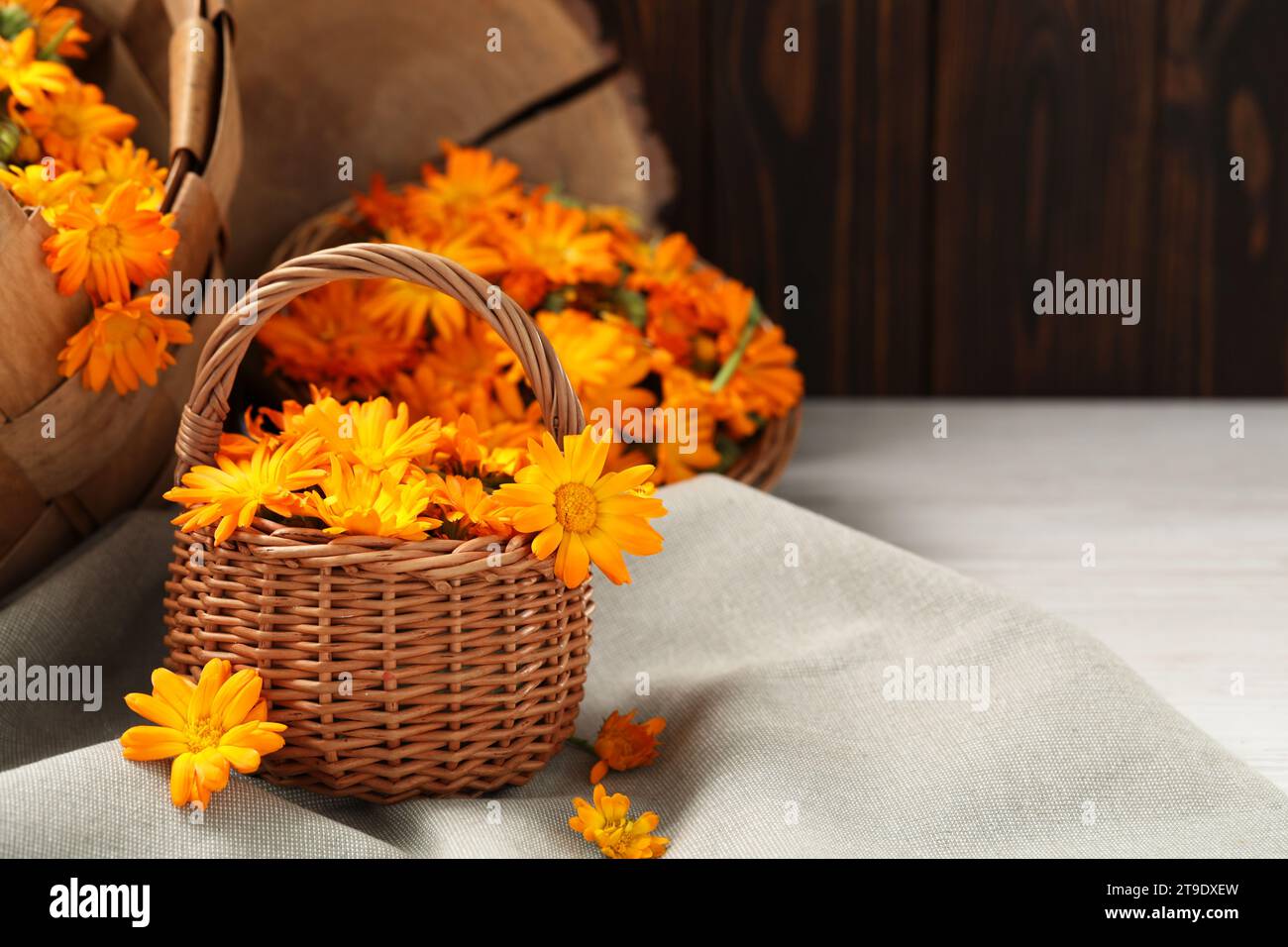 Beautiful fresh calendula flowers on table, space for text Stock Photo ...
