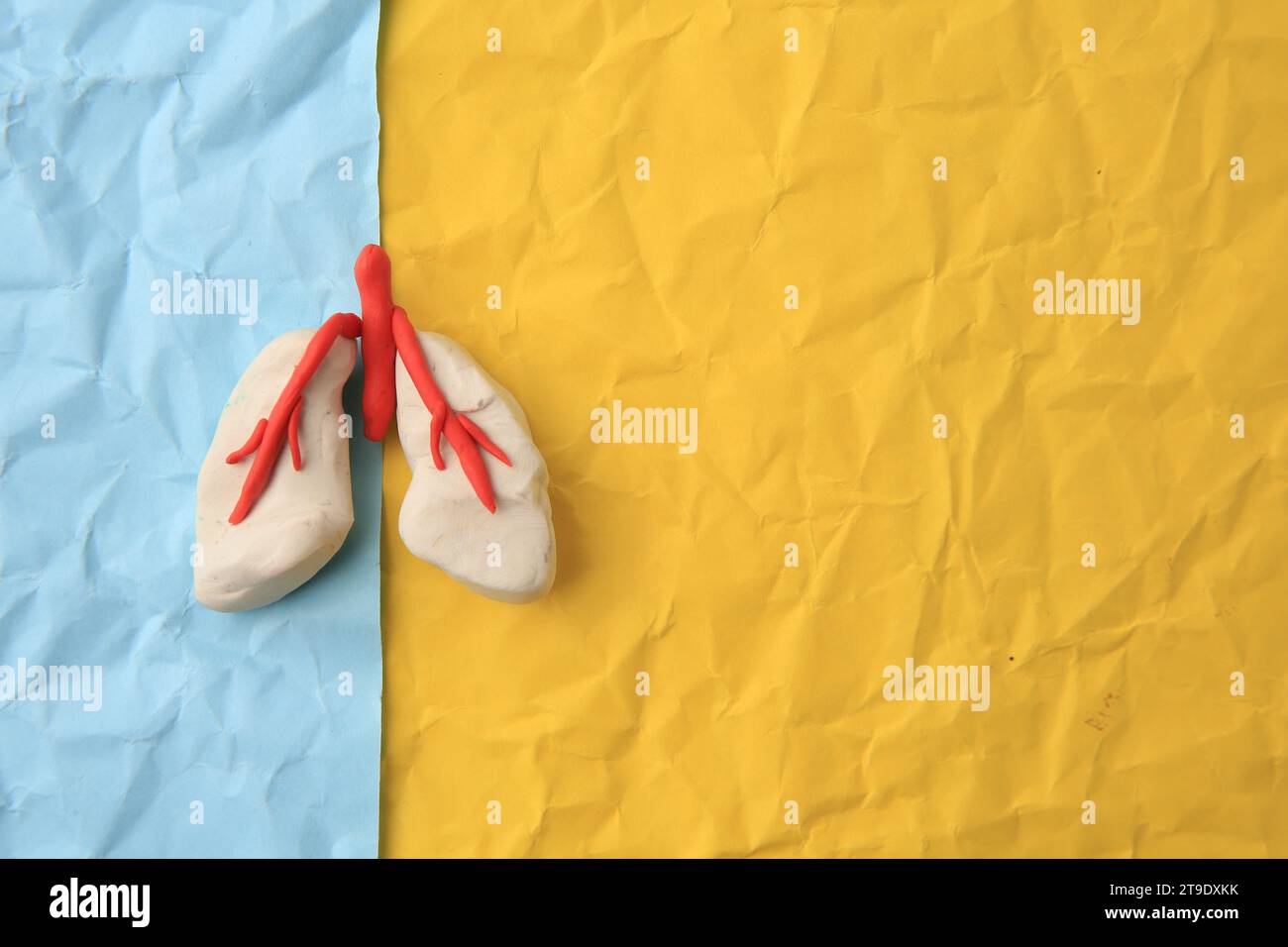 Human lungs made of plasticine on color crumpled paper, top view. Space ...