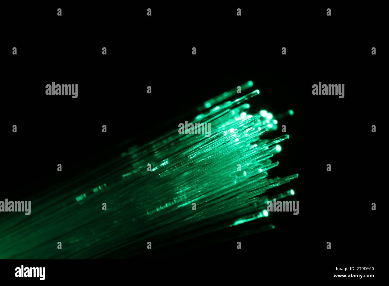 Optical fiber strands transmitting green light on black background ...