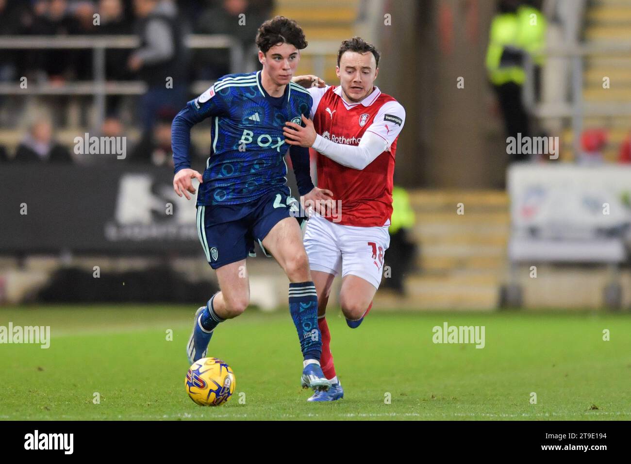 Archie gray hi-res stock photography and images - Alamy