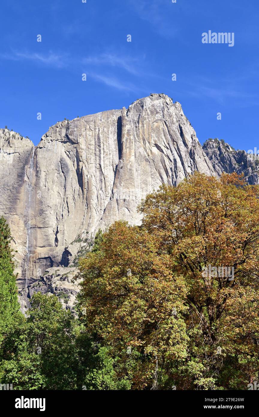 Yosemite National Park, California, USA. A view of the rugged famed El ...