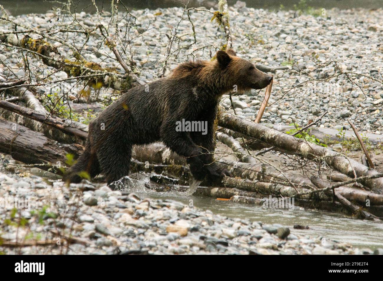 Orford river canada hi-res stock photography and images - Alamy