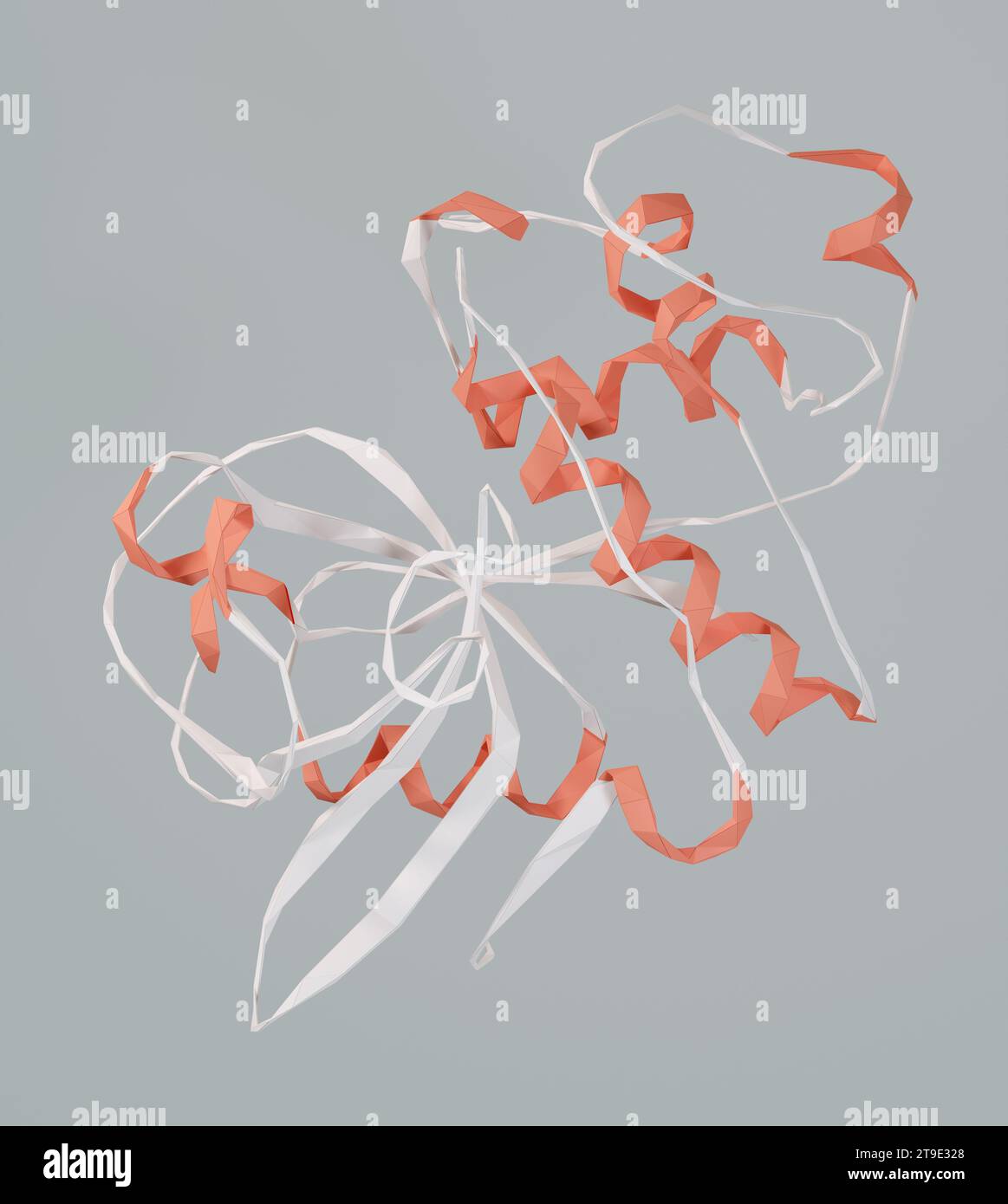 Human nerve growth factor protein, illustration Stock Photo - Alamy