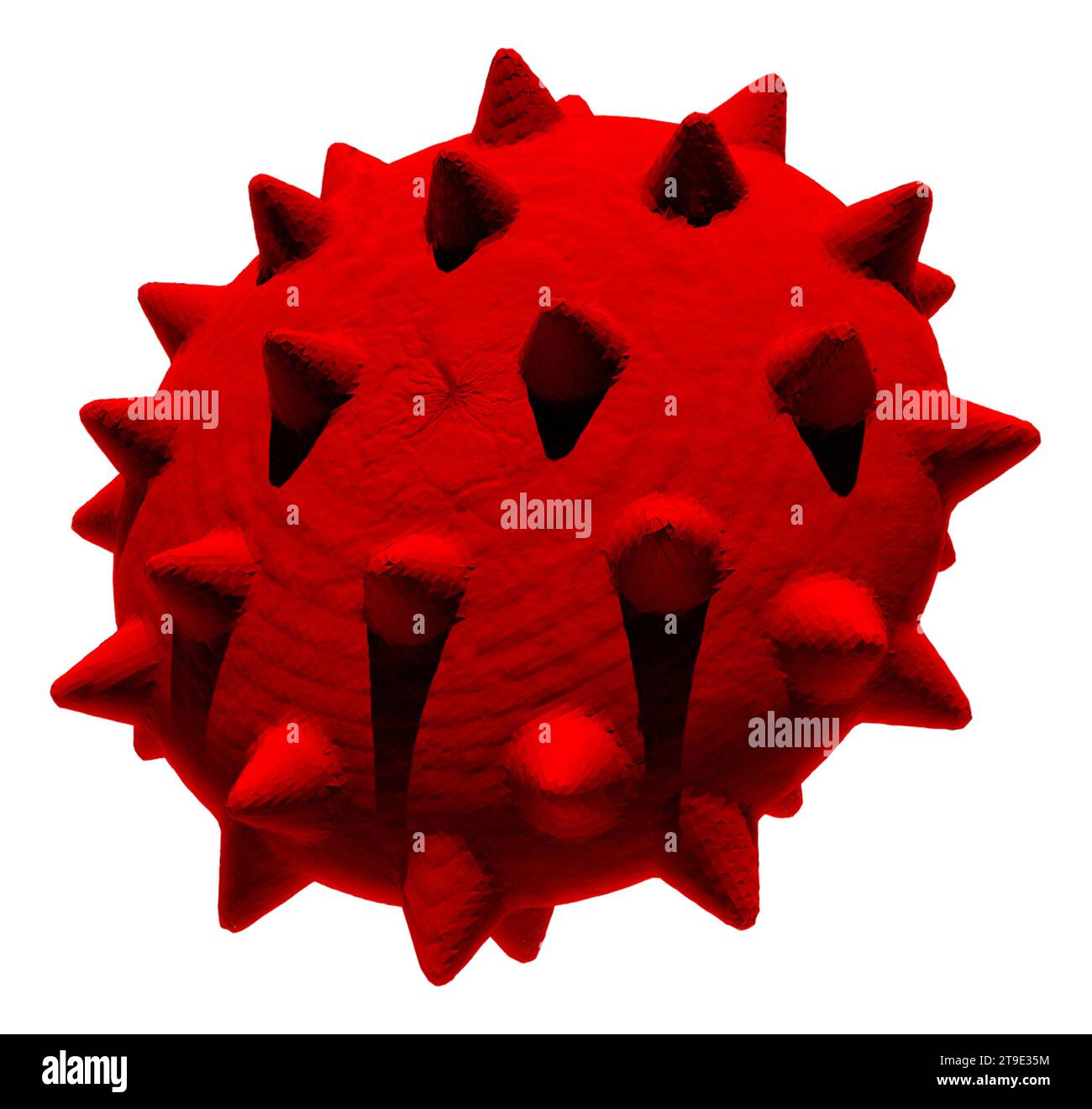 Burr cell abnormal red blood cell, illustration Stock Photo - Alamy Burr cell abnormal red blood cell, illustration Stock Photo - Alamy