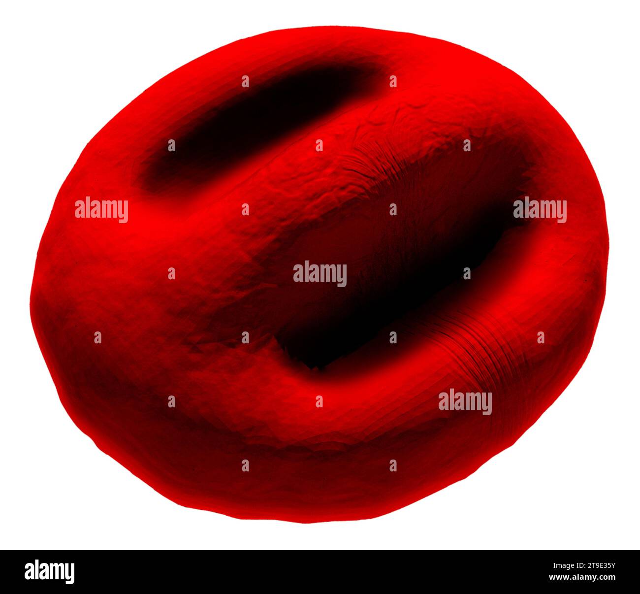 Knizocyte abnormal red blood cell, illustration Stock Photo - Alamy