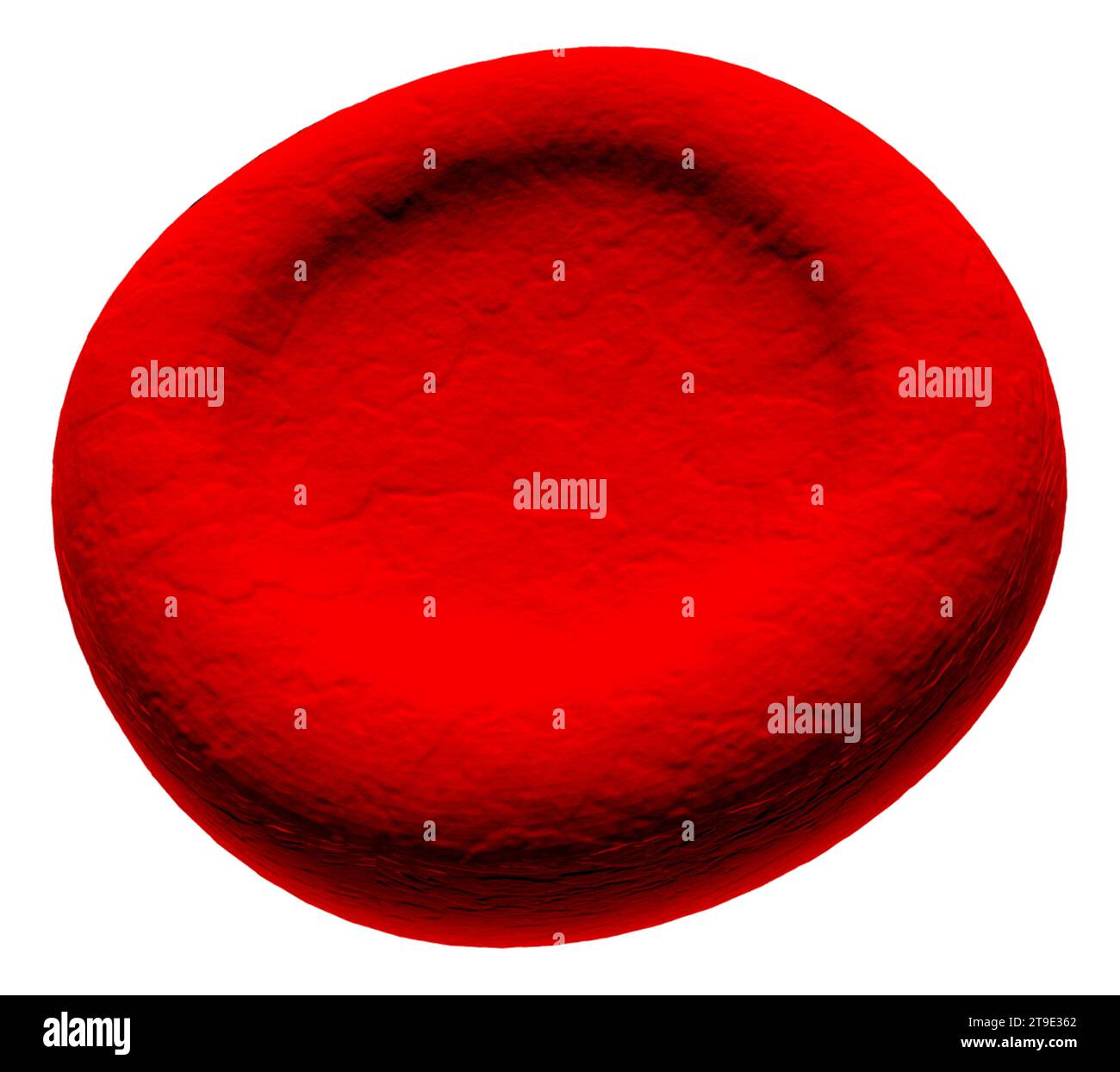 Red blood cell, illustration Stock Photo - Alamy