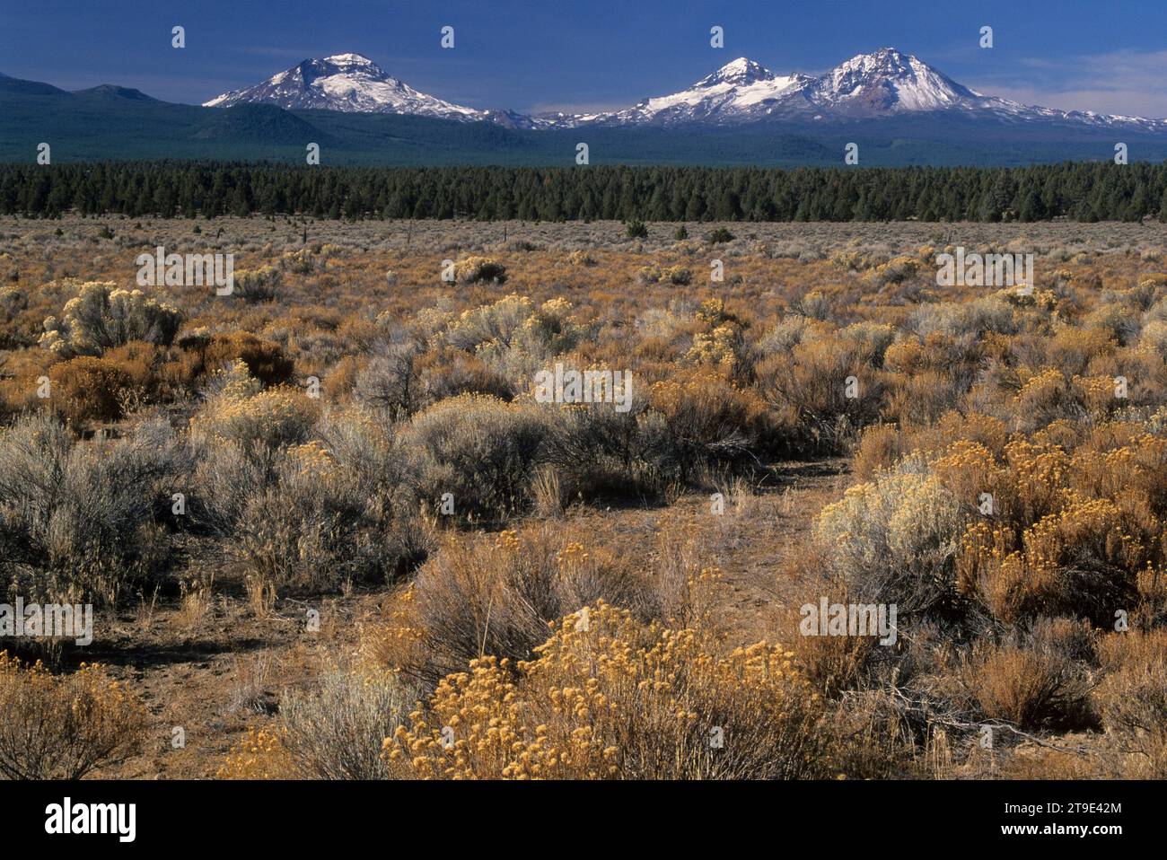 Three sisters mountains oregon hi-res stock photography and images - Alamy