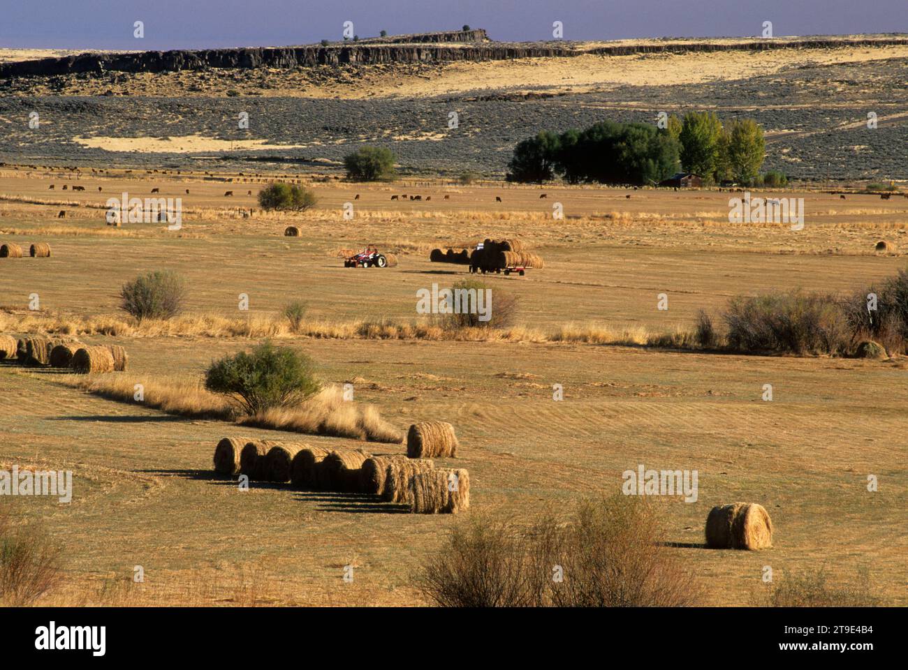 Diamond Valley ranchland, Diamond Loop National Back Country Byway ...