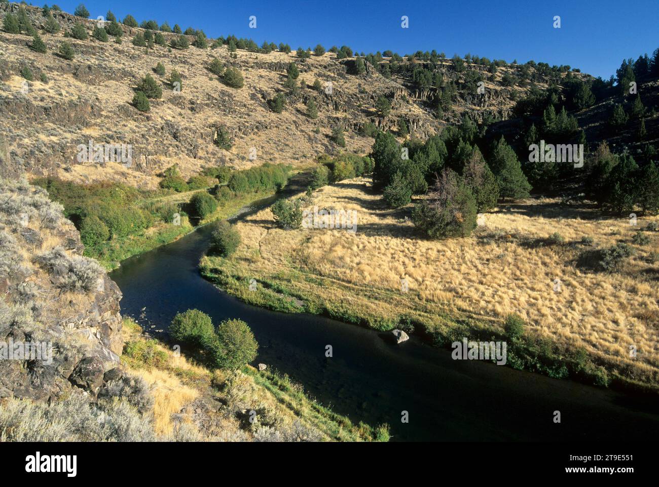 Donner und Blitzen Wild & Scenic River, Steens Mountain Wilderness ...