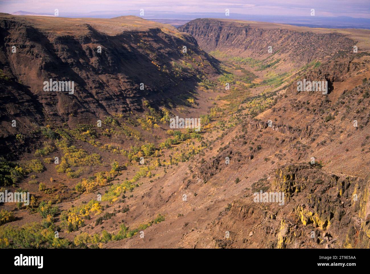 Little Blitzen Gorge, Steens Mountain Recreation Area, Steens Mountain ...