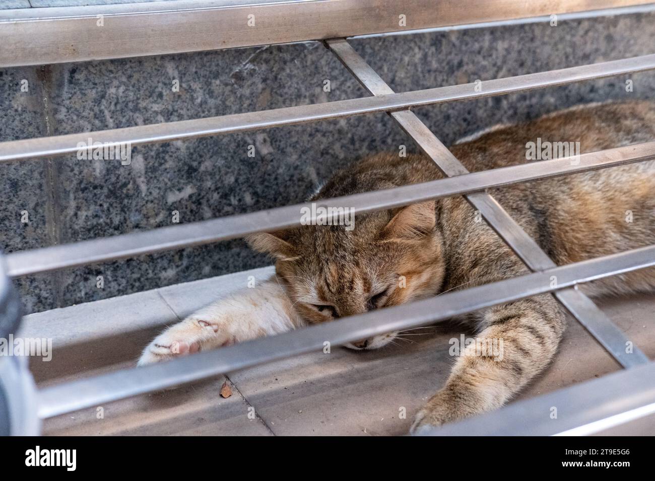 Pavement drain channel hi-res stock photography and images - Alamy