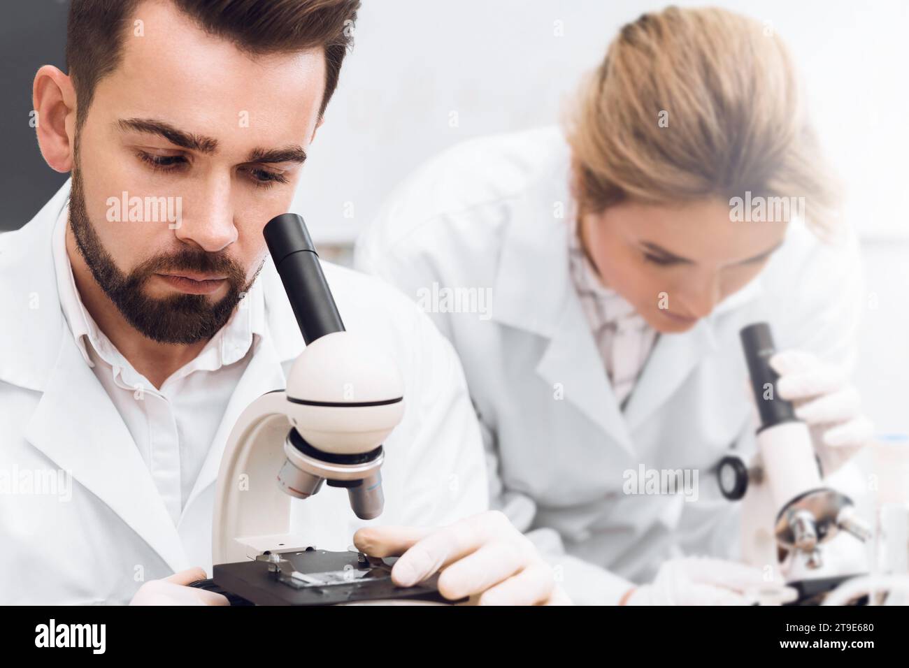 Two students are working in a laboratory using microscopes during science research work Stock ...