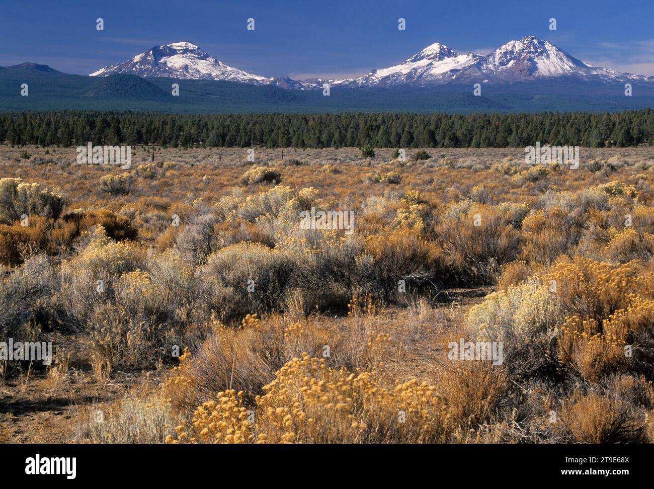 Three Sisters from US Highway 20, Deschutes County, Oregon Stock Photo ...