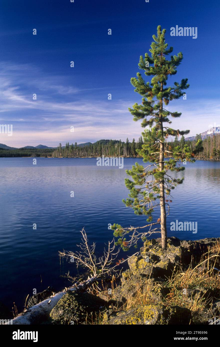 Lava Lake, Cascade Lakes National Scenic Byway, Deschutes National ...