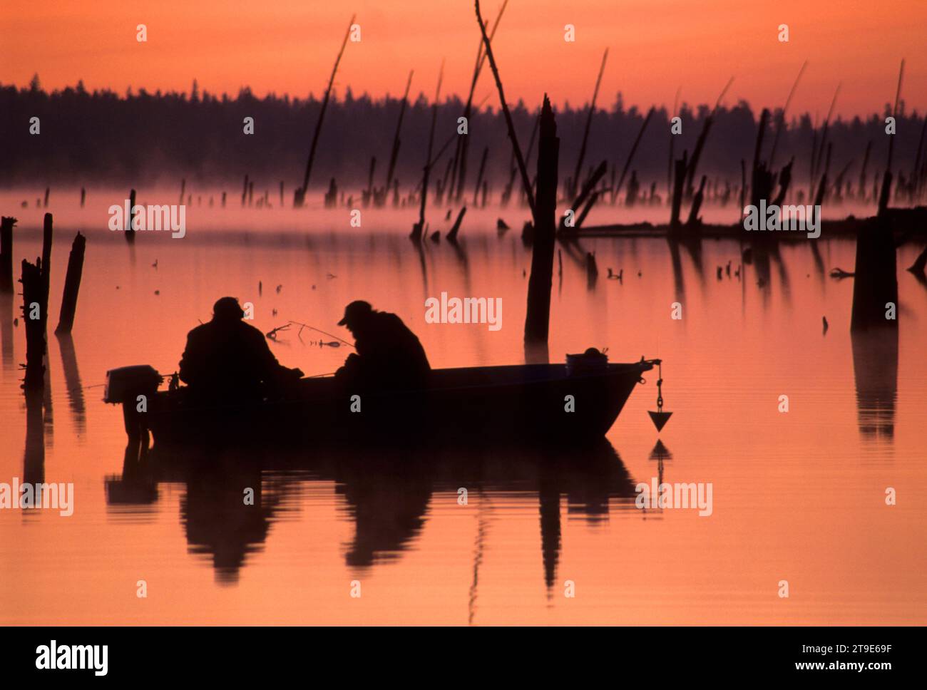 Fishing Crane Prairie Reservoir snags sunrise, Cascade Lakes National ...