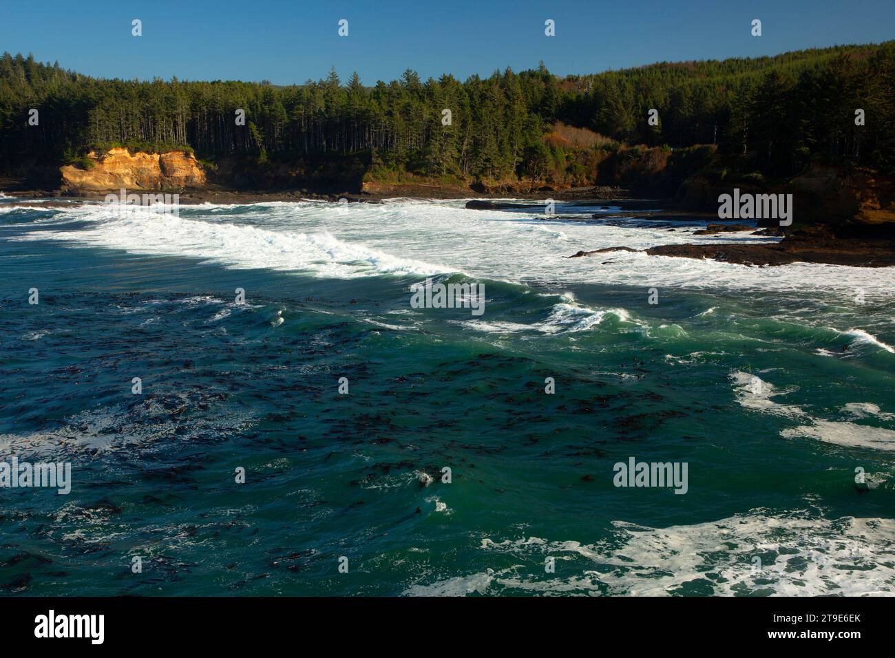 Boiler Bay, Boiler Bay State Park, Oregon Stock Photo - Alamy
