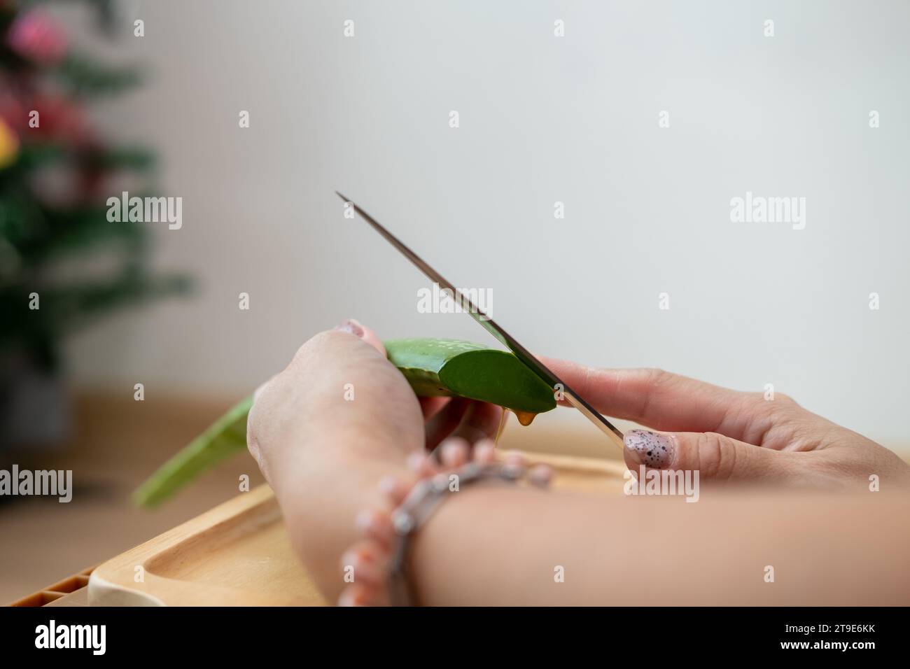 Woman's hands peeling aloe vera Stock Photo - Alamy
