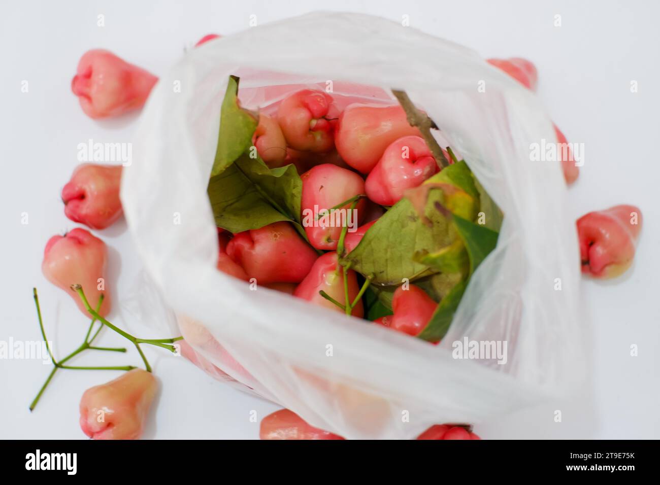 Fresh red water guava has just been picked and placed in a pastry on a ...