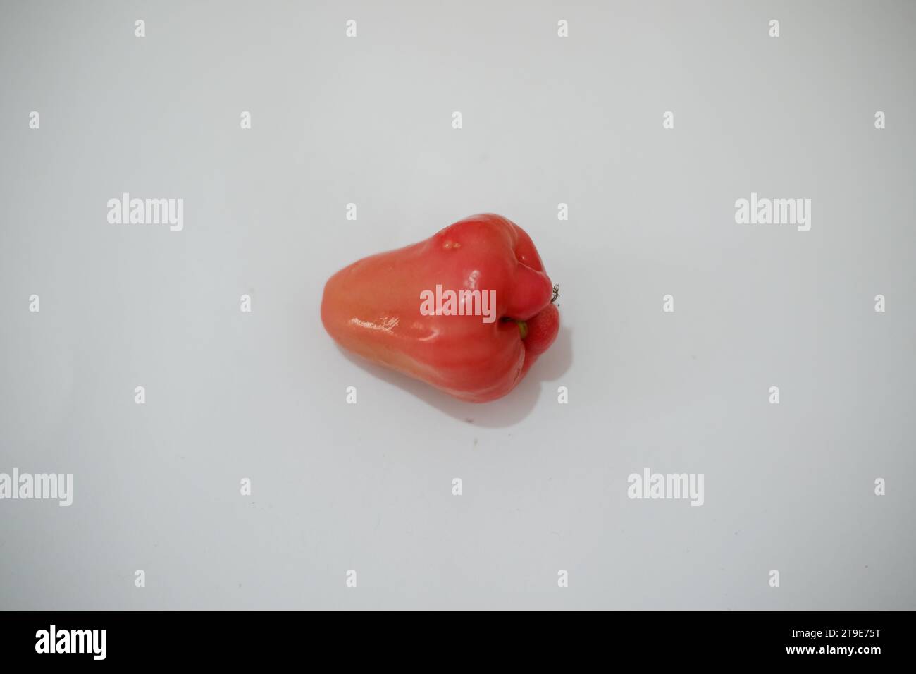 Fresh red water guava just typed on a white background Stock Photo - Alamy