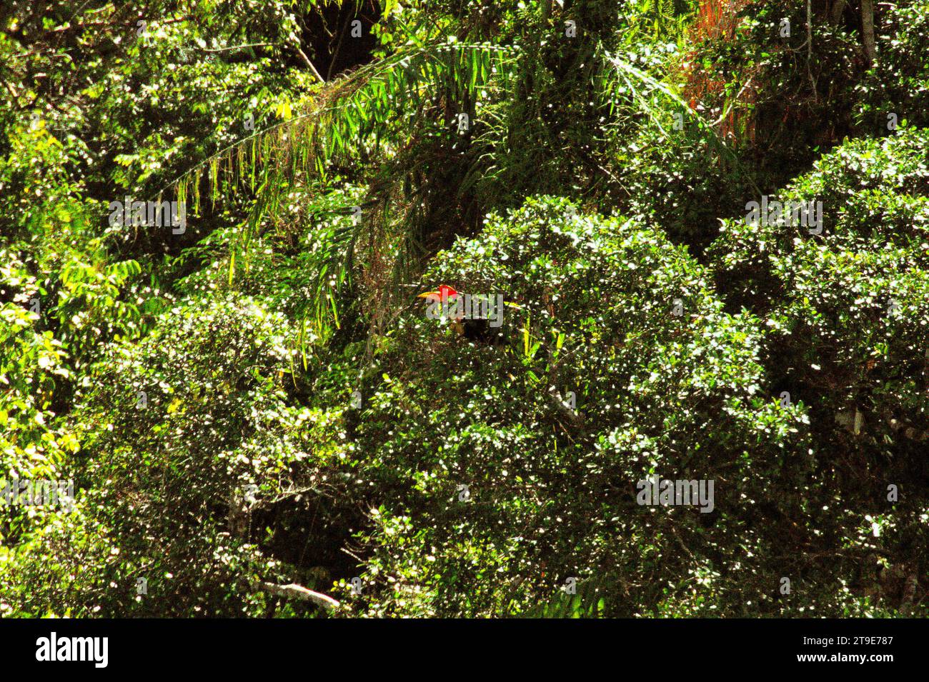 Global carbon cycle hi-res stock photography and images - Alamy
