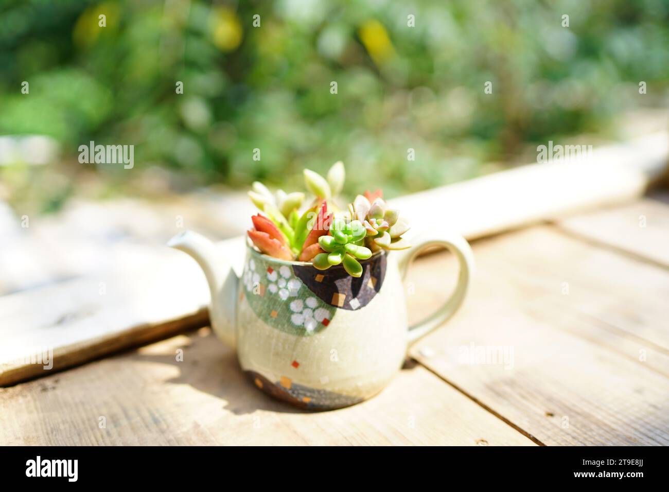 Teapot plant pot hi-res stock photography and images - Alamy