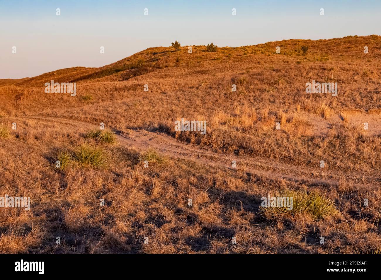 Two-track through Sandhills leading to Sharp-tailed Grouse blind at lek ...