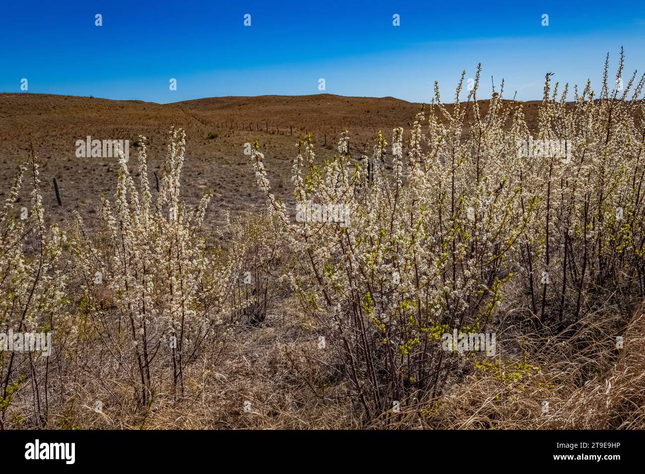 Nebraska National Forests And Grasslands