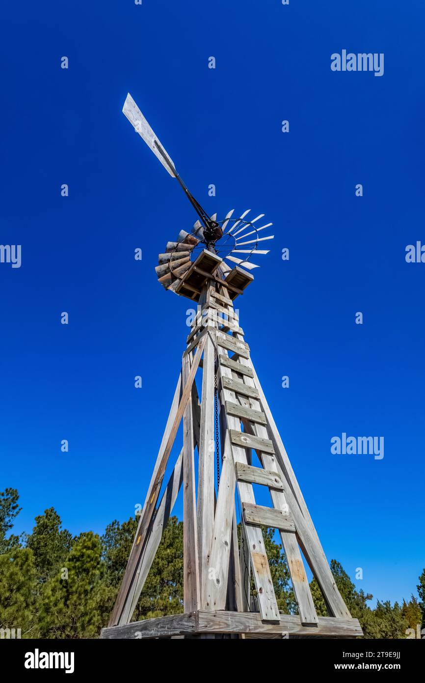 Windmill with wooden town structure pumping water for cattle and ...