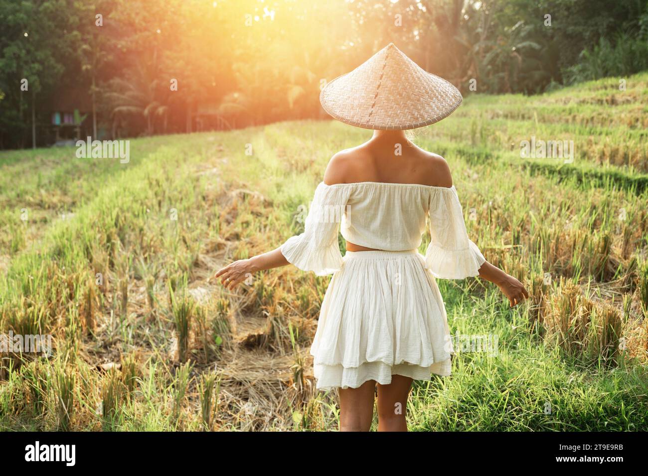 Woman wearing natural clothes and Asian conical hat in the rice field ...