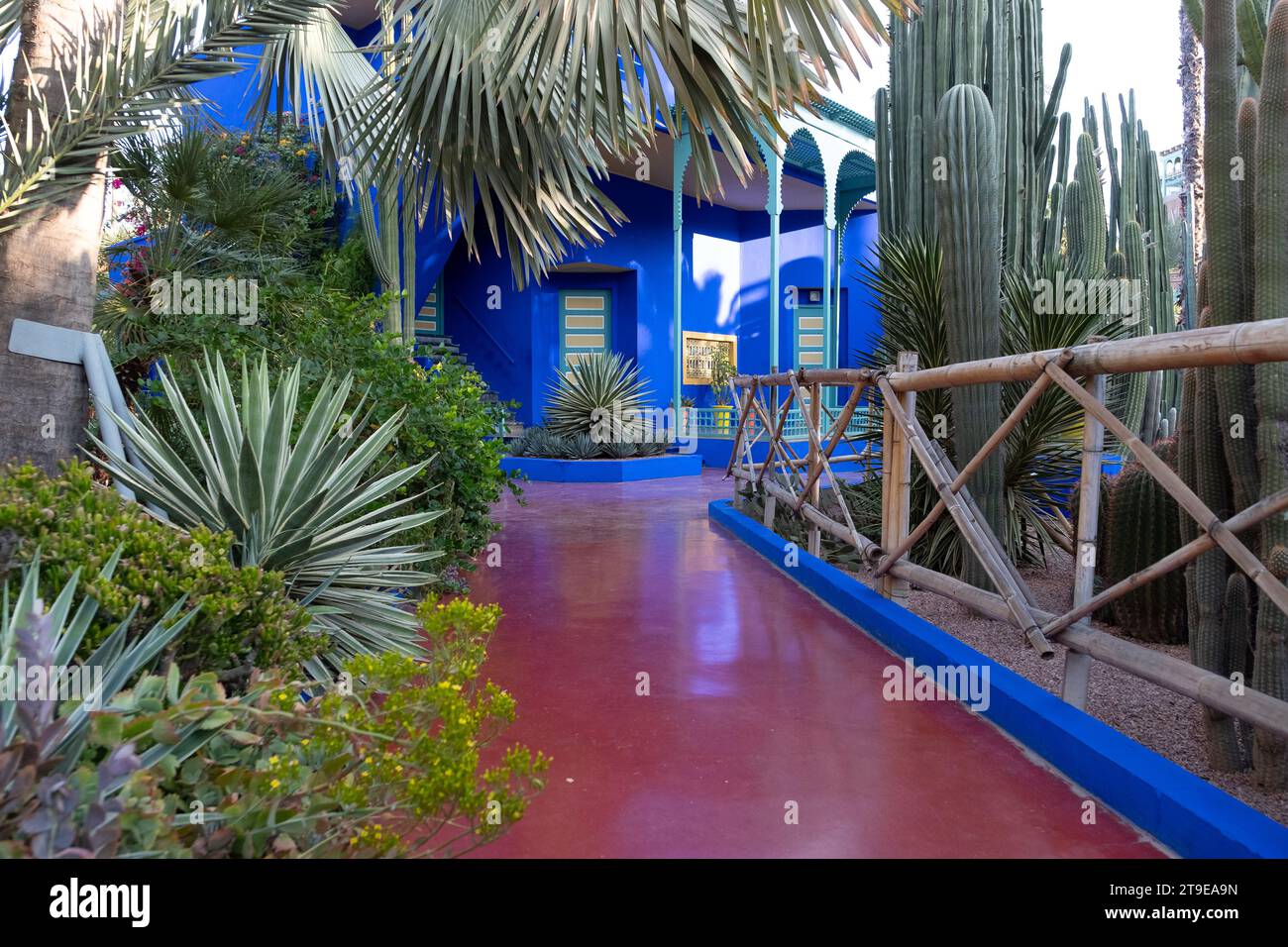 Jardin Majorelle, Marrakesh, Morocco Stock Photo - Alamy