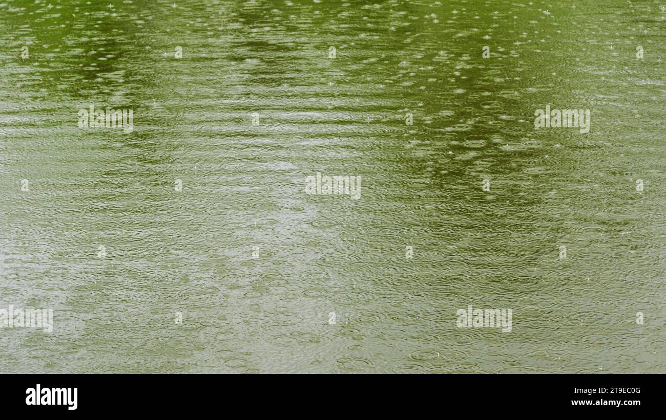 Background image of water ripples on a pond surface during heavy rain ...