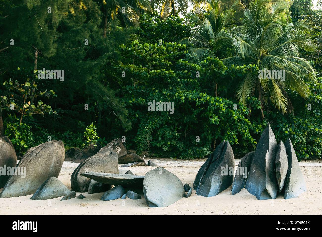 Sharp volcanic rocks on a sandy beach with tropical forest background ...