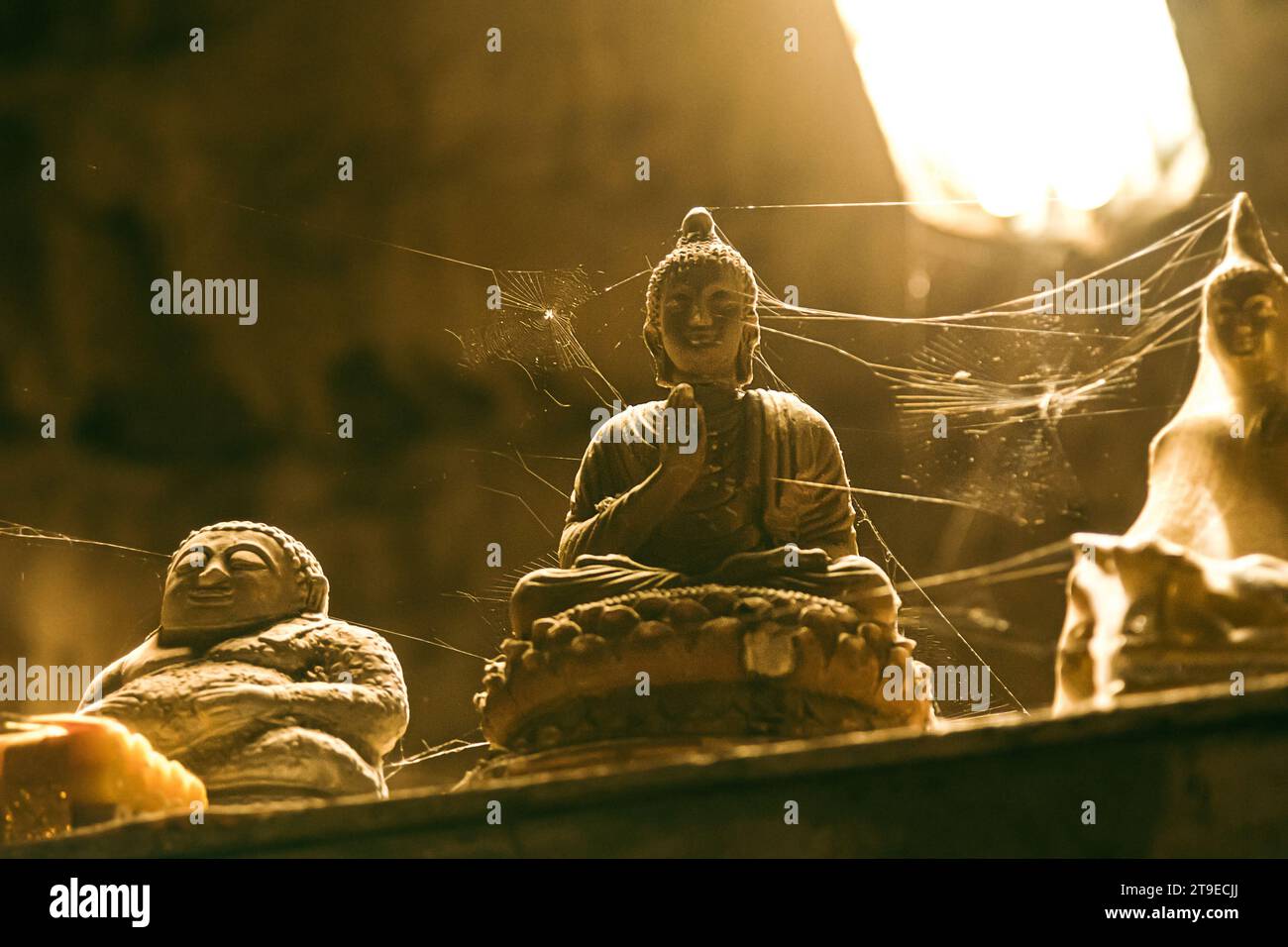Closeup shot of a long forgotten praying Buddha stone statues covered ...