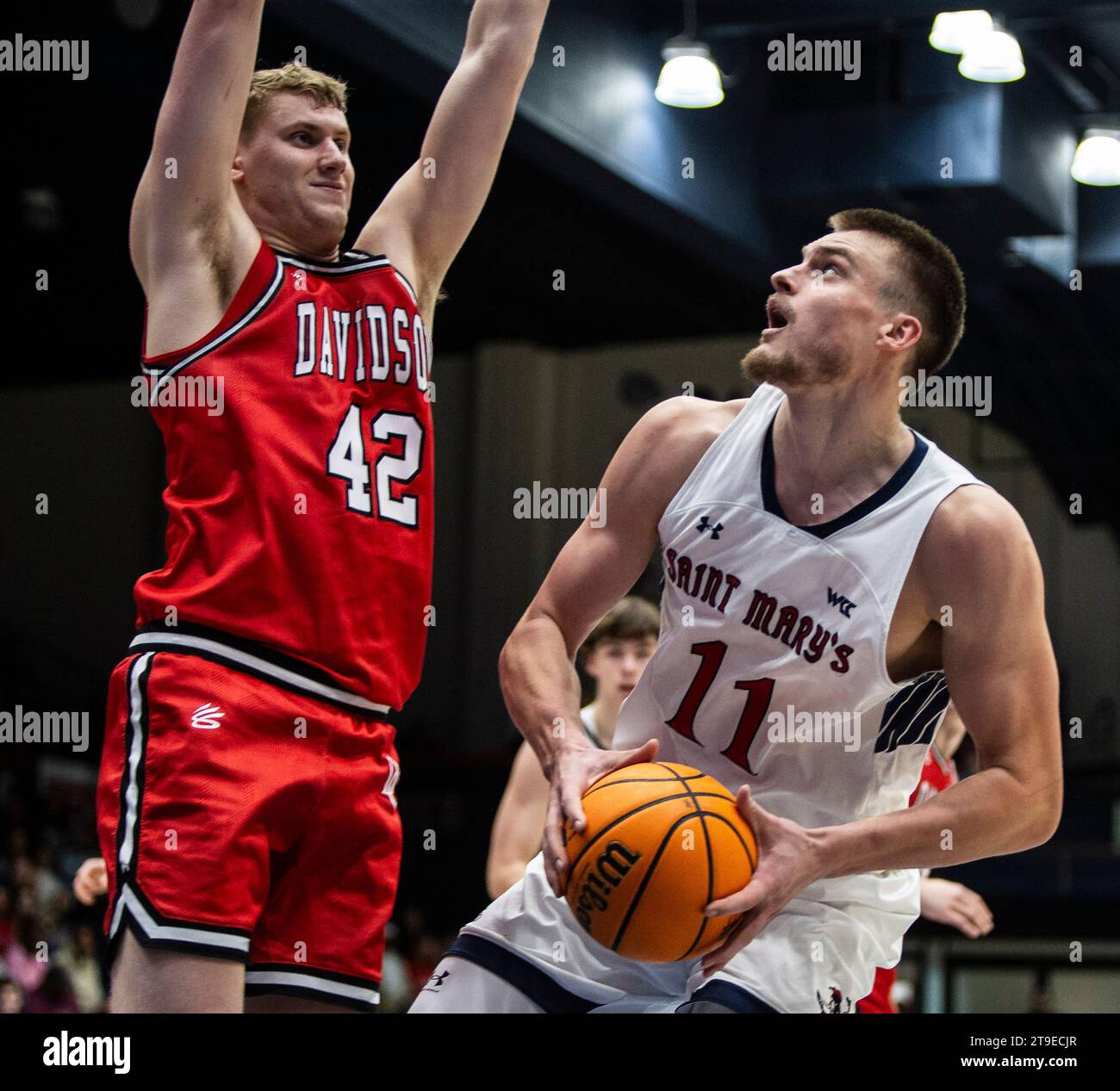 November 24 2023 Moraga CA, U.S.A. St. Mary's center Mitchell Saxen (11 ...