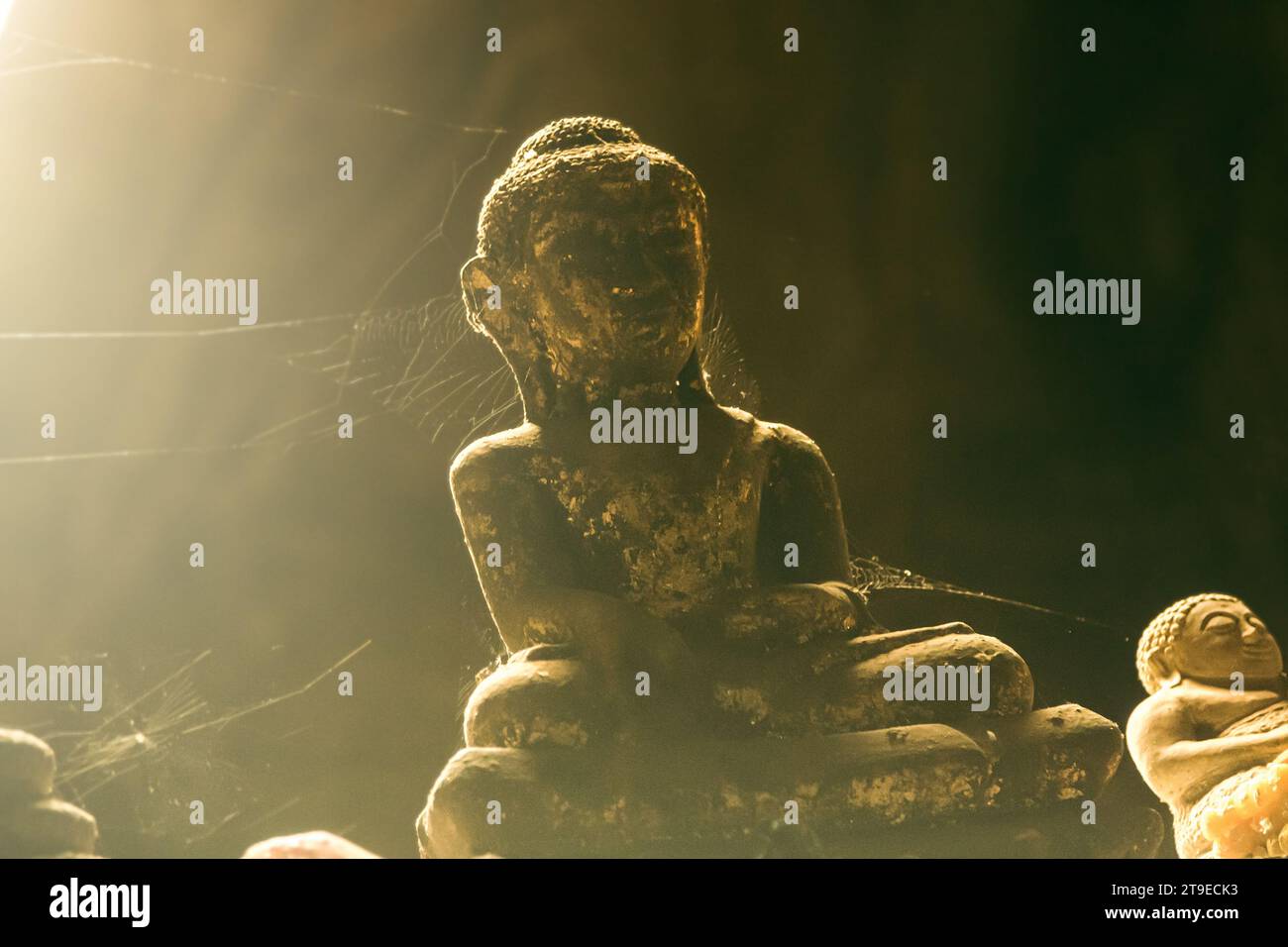 Closeup shot of a long forgotten praying Buddha stone statues covered ...