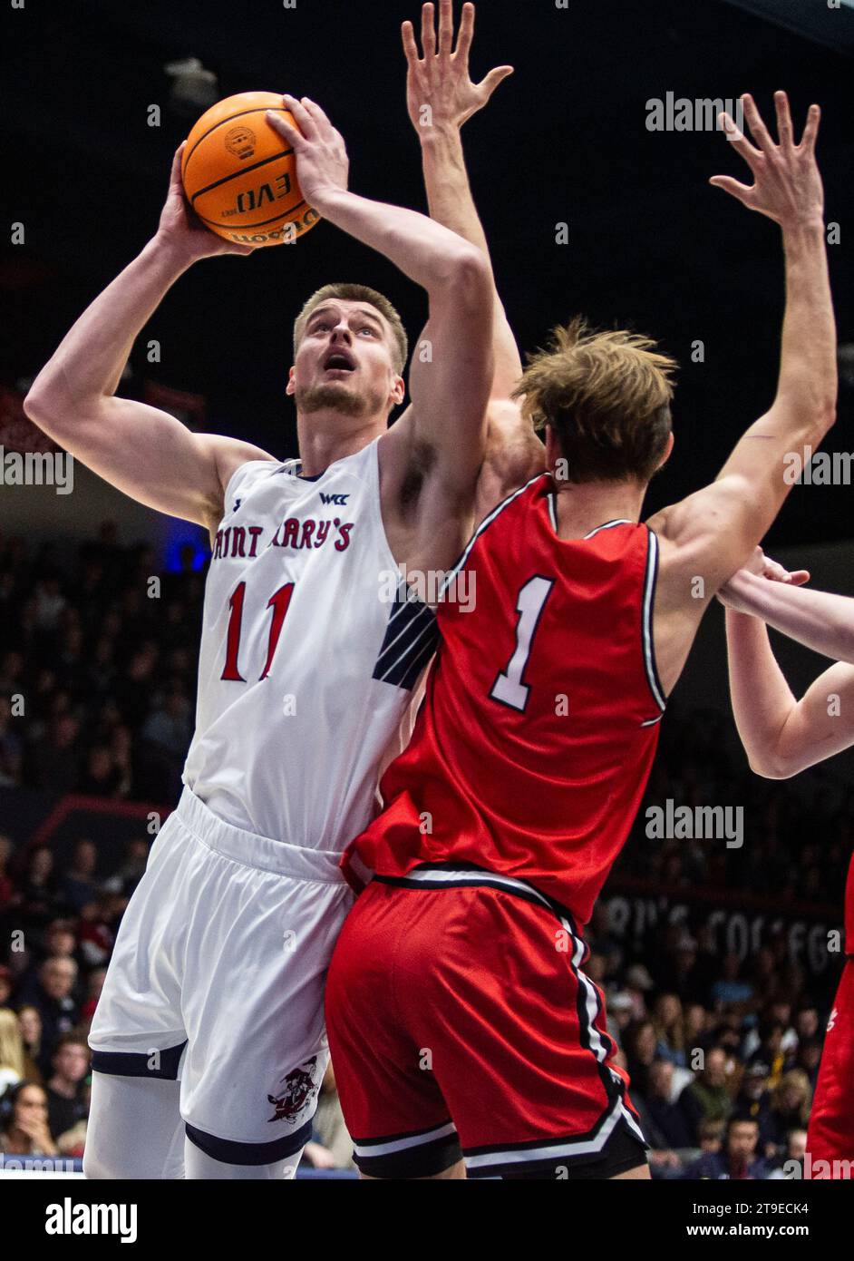 November 24 2023 Moraga CA, U.S.A. St. Mary's center Mitchell Saxen (11 ...