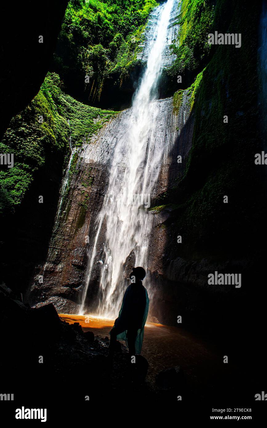 Madakaripura waterfall tallest in hi-res stock photography and images ...