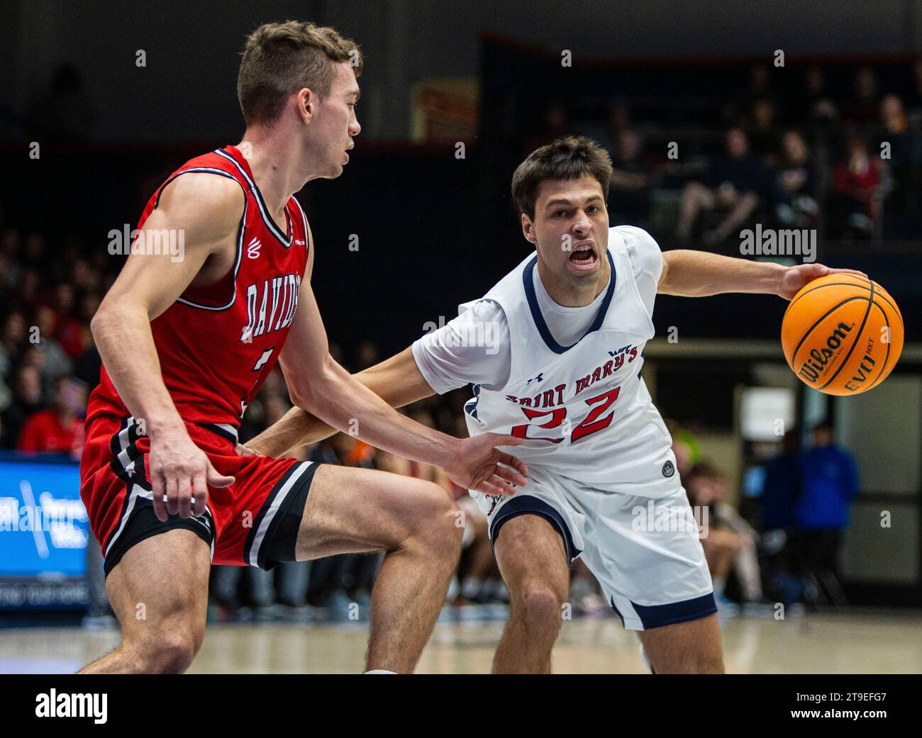 374 pavilion hi-res stock photography and images - Alamy