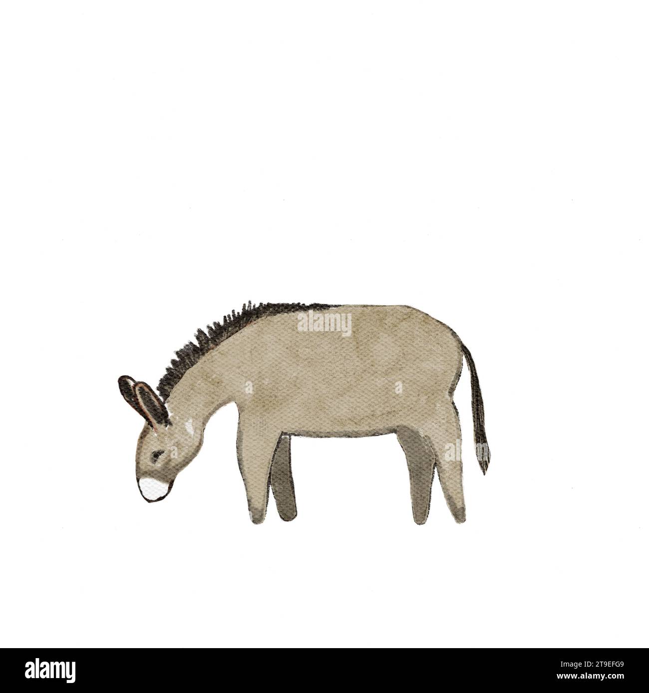 Hand painted watercolor donkey isolated on white Stock Photo - Alamy
