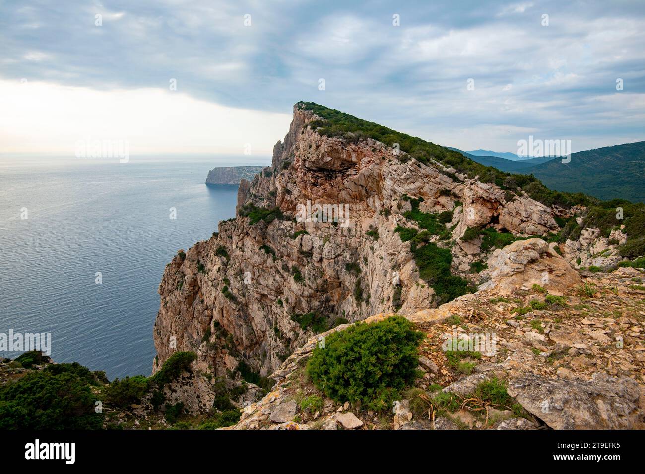 Natural Park of Porto Conte - Sardinia - Italy Stock Photo - Alamy