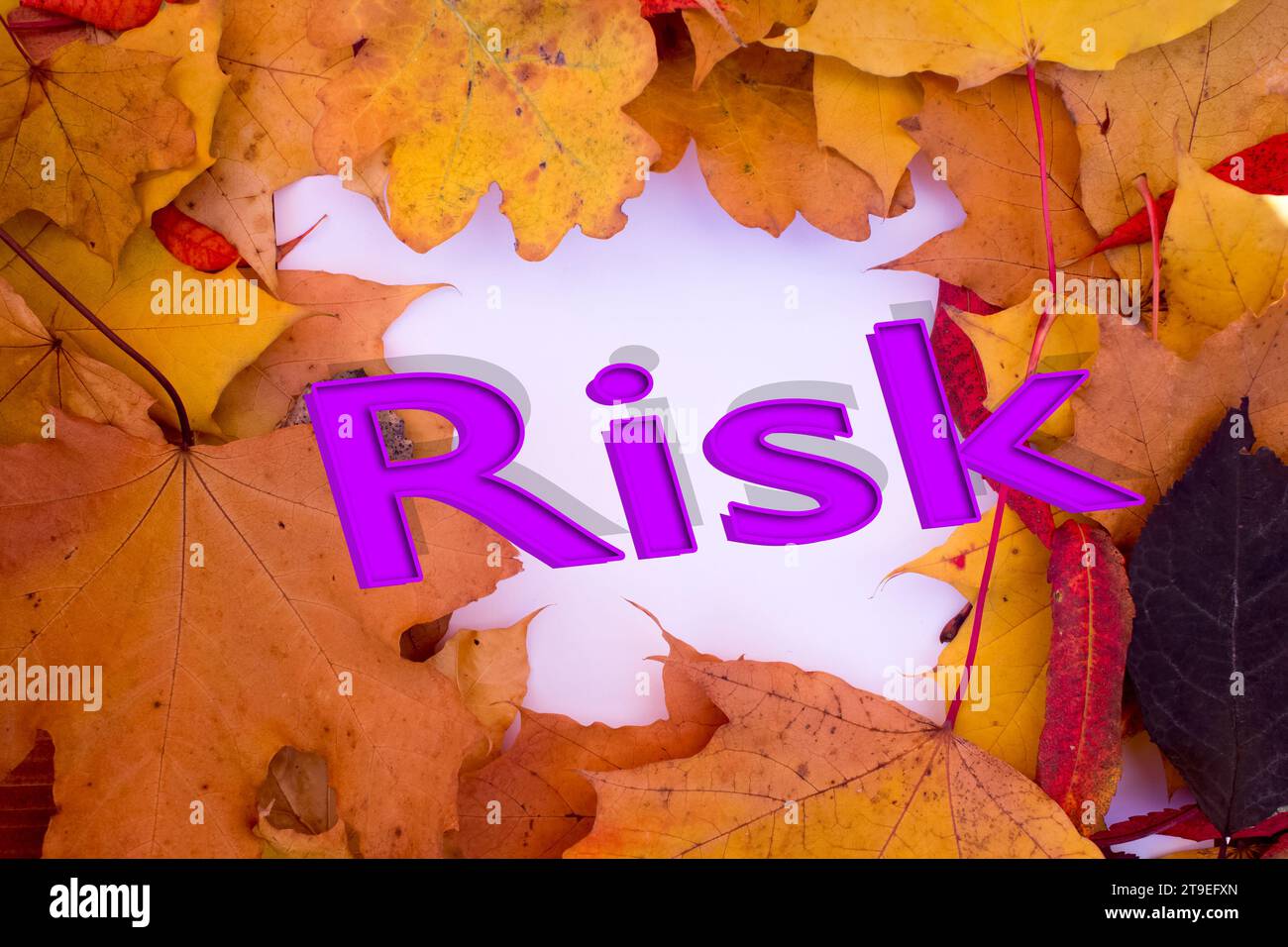 Autumn leaves, objects with Risk text. Natural patterns, color design ...