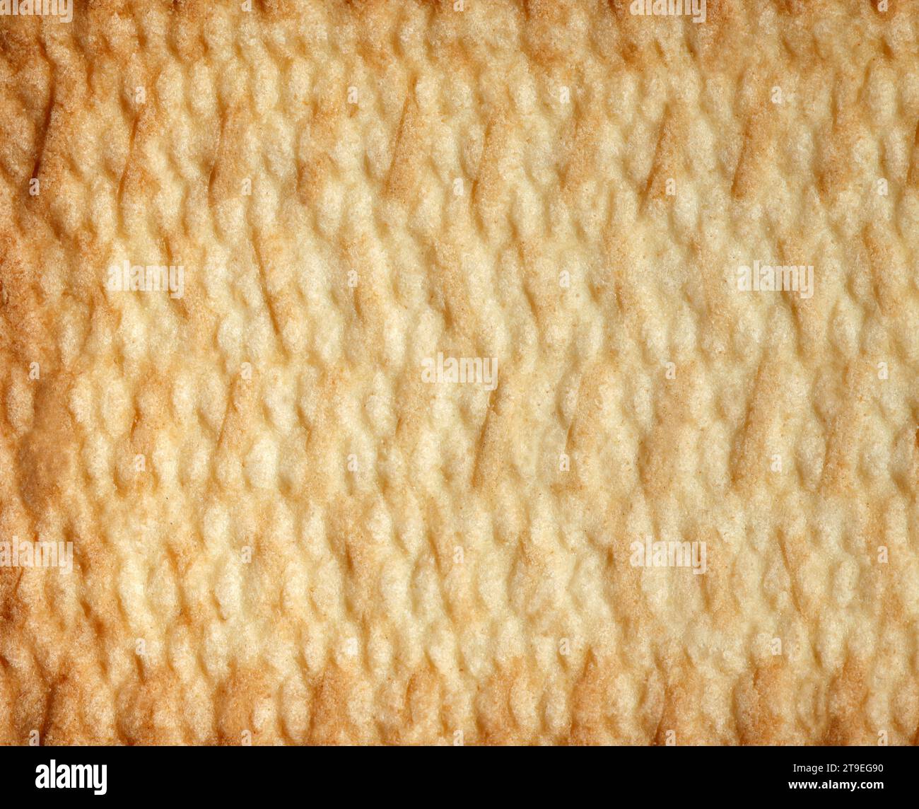 Cookies close-up, the structure of the back Stock Photo - Alamy