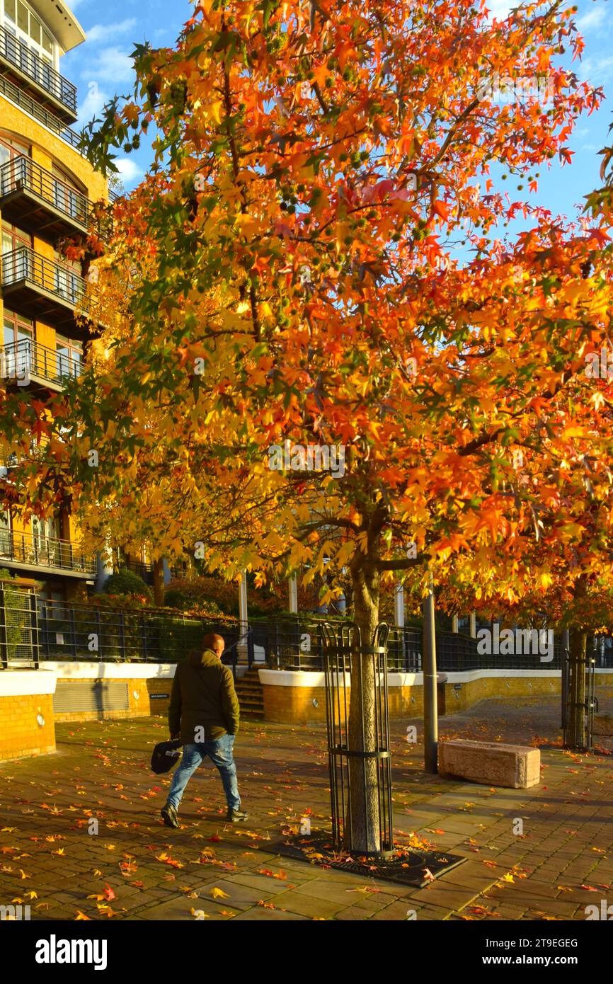 Winter colour on a week day in London. Image shows a walk way and ...