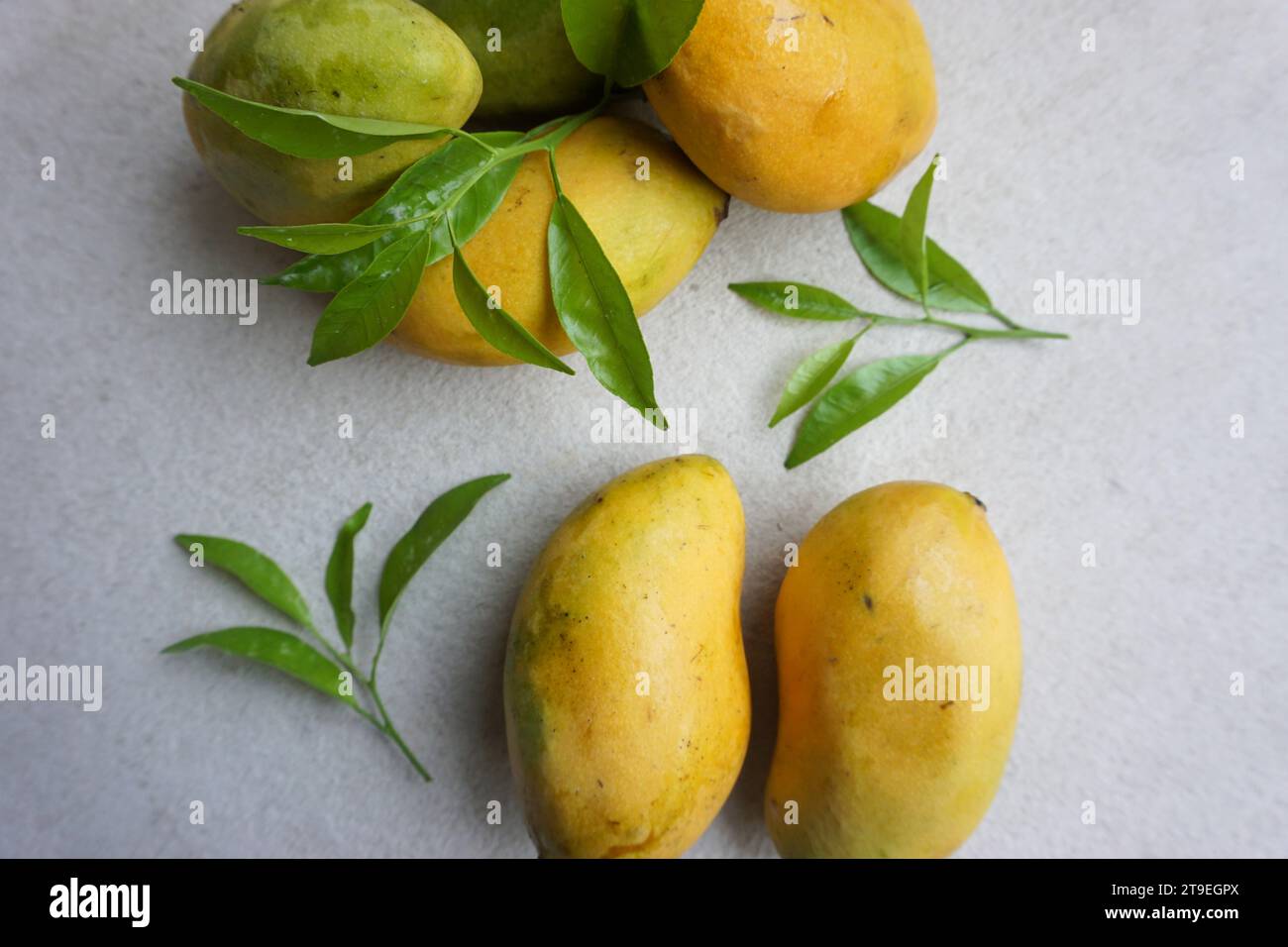 Stock photo of fresh yellow mango Stock Photo - Alamy