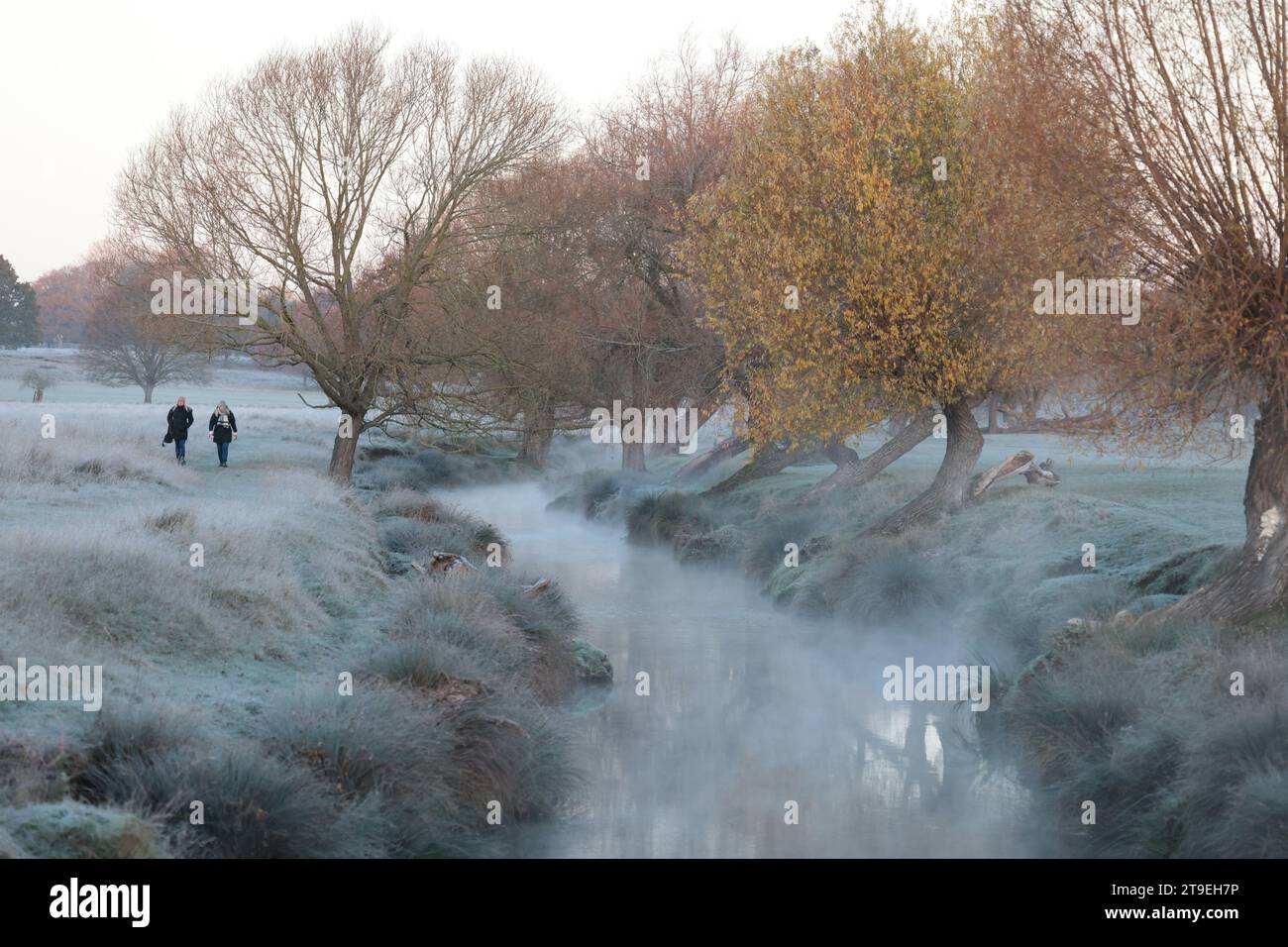 London, UK. 25th Nov, 2023. Frost covers the landscape in Richmond park ...